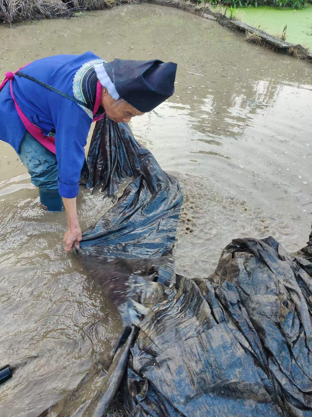 Mud Dye – GOSESUMMER