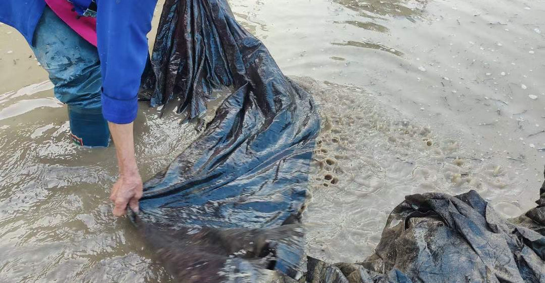 Mud Dye – GOSESUMMER